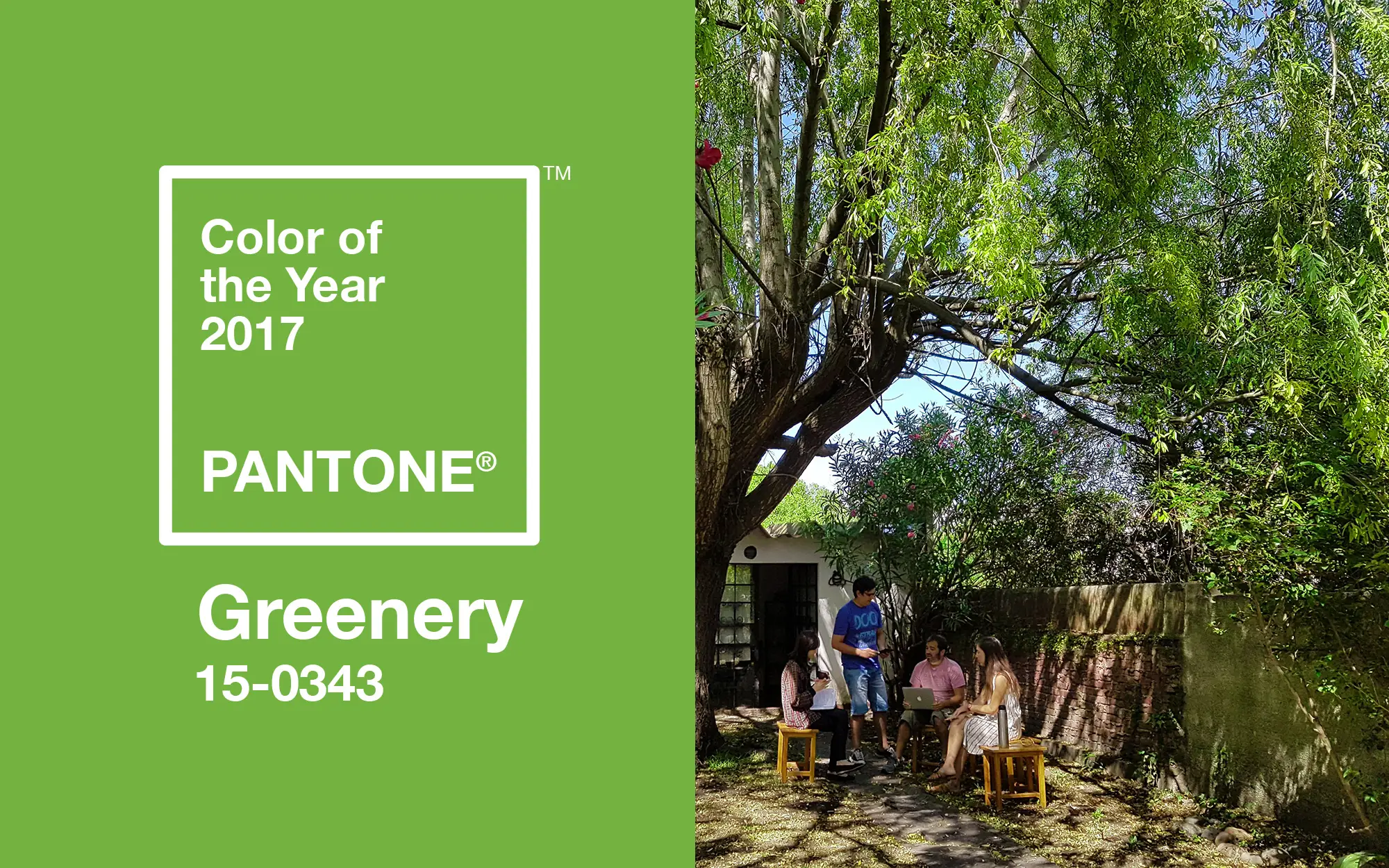 El Color Verde Pantone 2017 Y El Color Según Pantone Para 2017