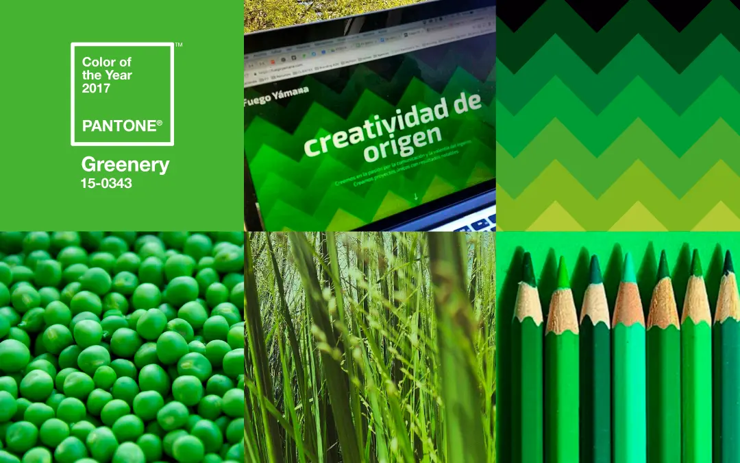 El Color Verde Pantone 2017 Y El Color Según Pantone Para 2017